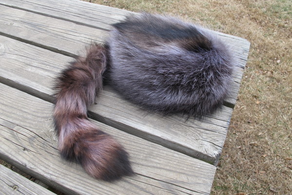 Skin Hats - High-Quality Coonskin Caps | Crockett Coonskin Caps