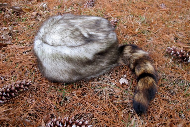 Crockett Coonskin Caps » Blondy Coontail Cap $25